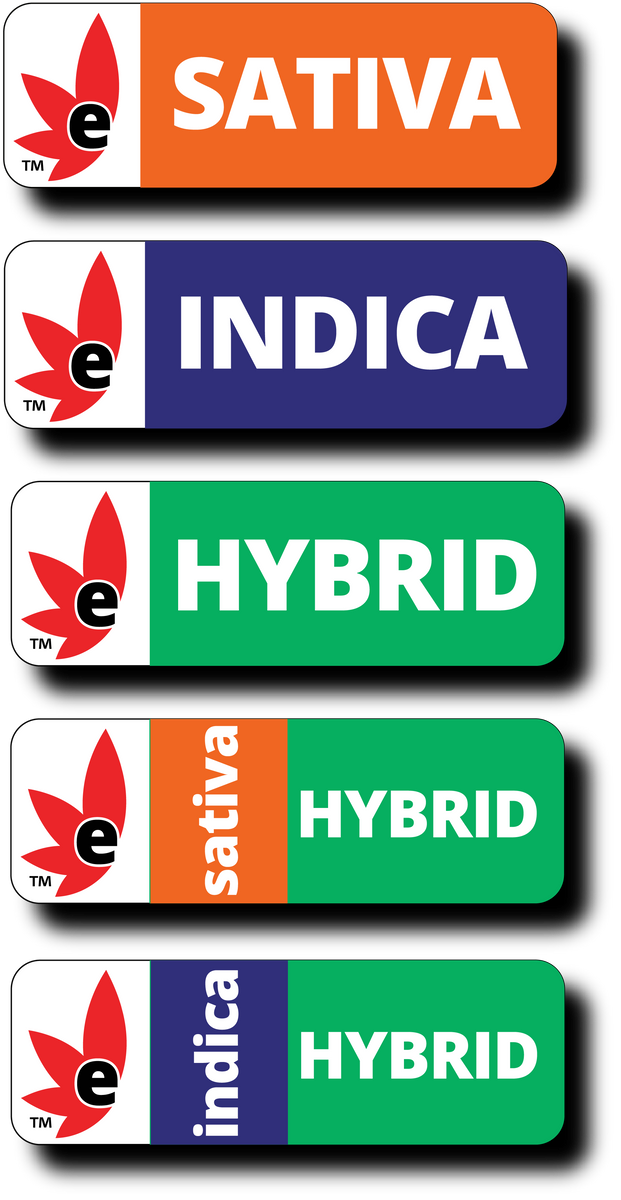 Strain Type Sheet – everydayhashish
