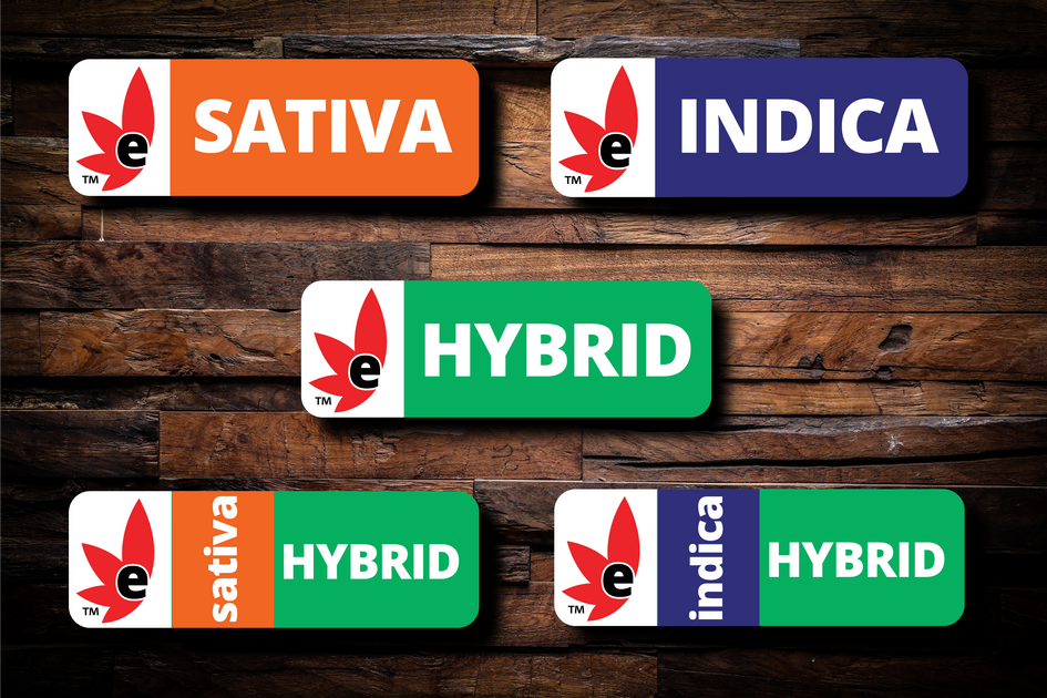 Products – everydayhashish